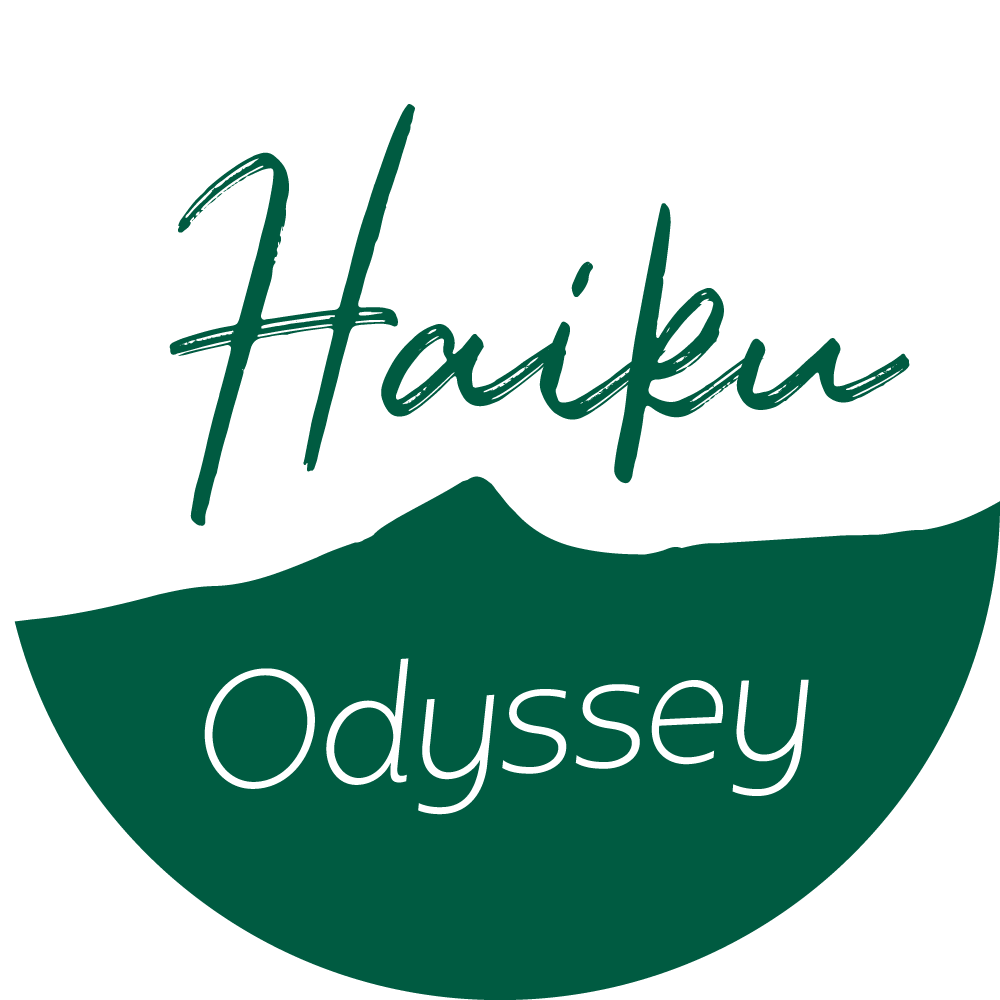 A mesmerising realm where vivid colours & captivating shapes collide ...